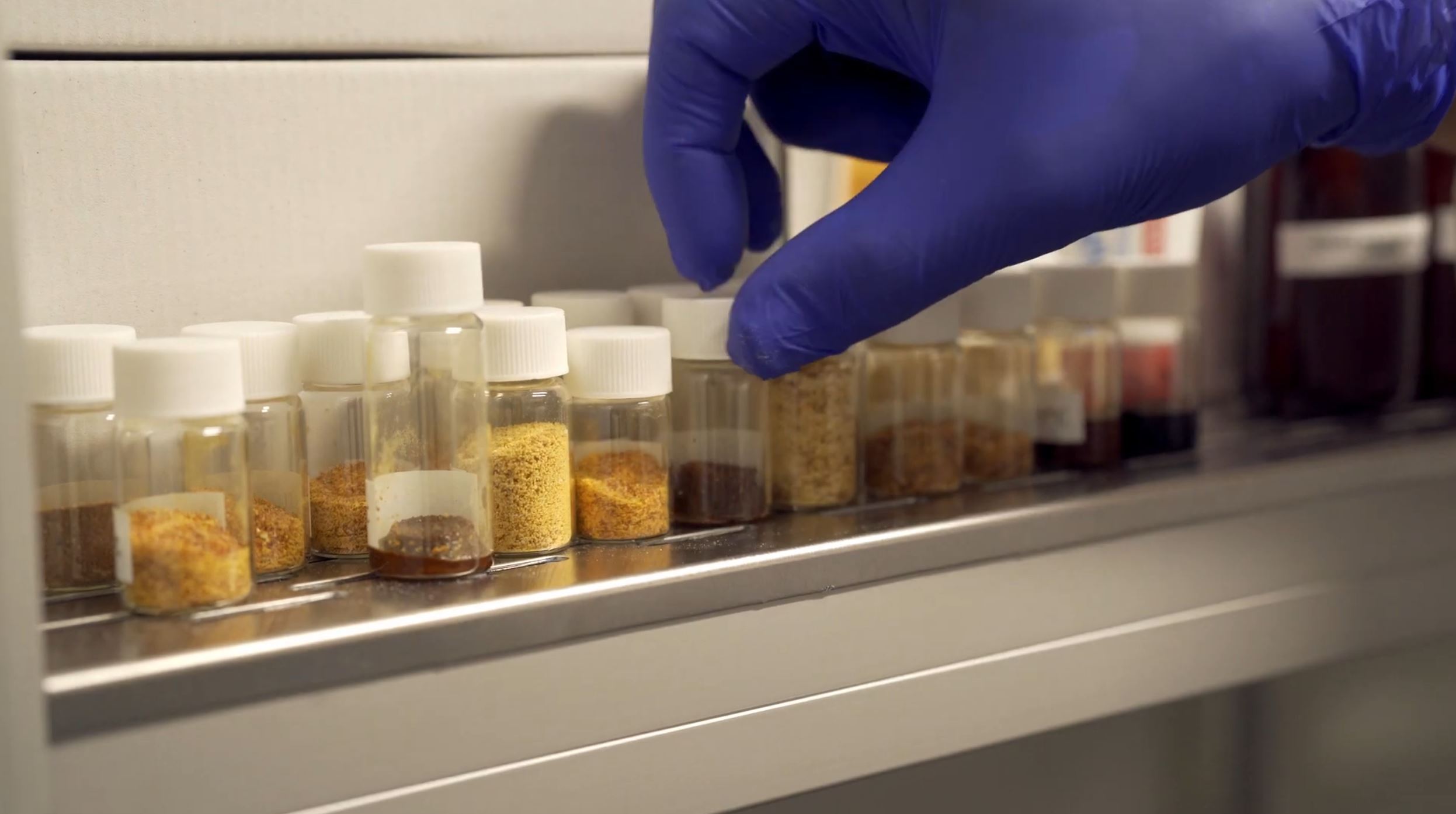 NutraResearch: a story of innovation, great energy and entrepreneurship ...
